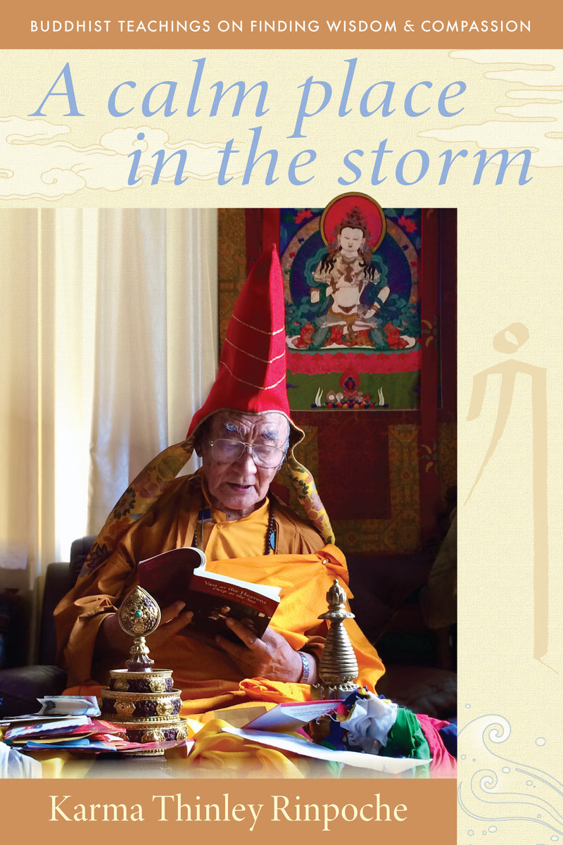 A calm place in the storm: Buddhist teachings on finding wisdom and co ...